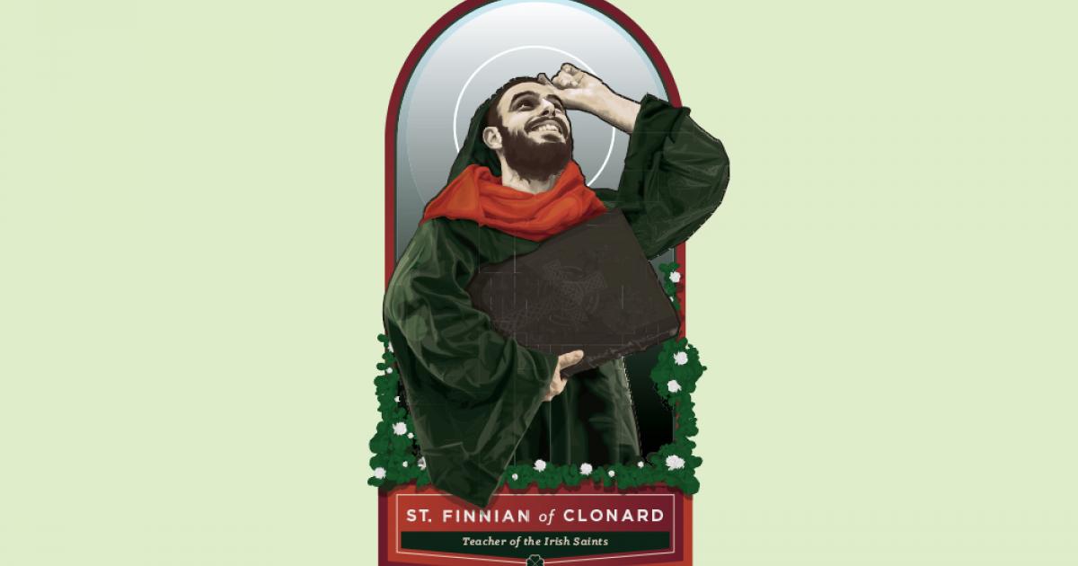 San Finnian de Clonard | The Valley Catholic