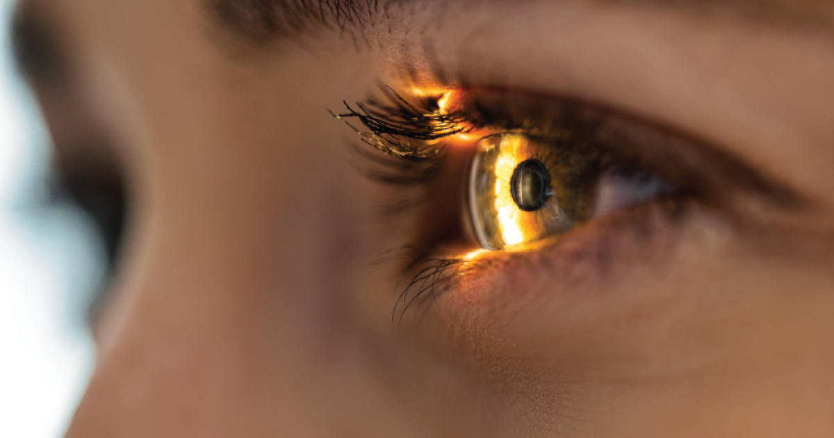 Ask God to show you the “logs” in your life | The Valley Catholic