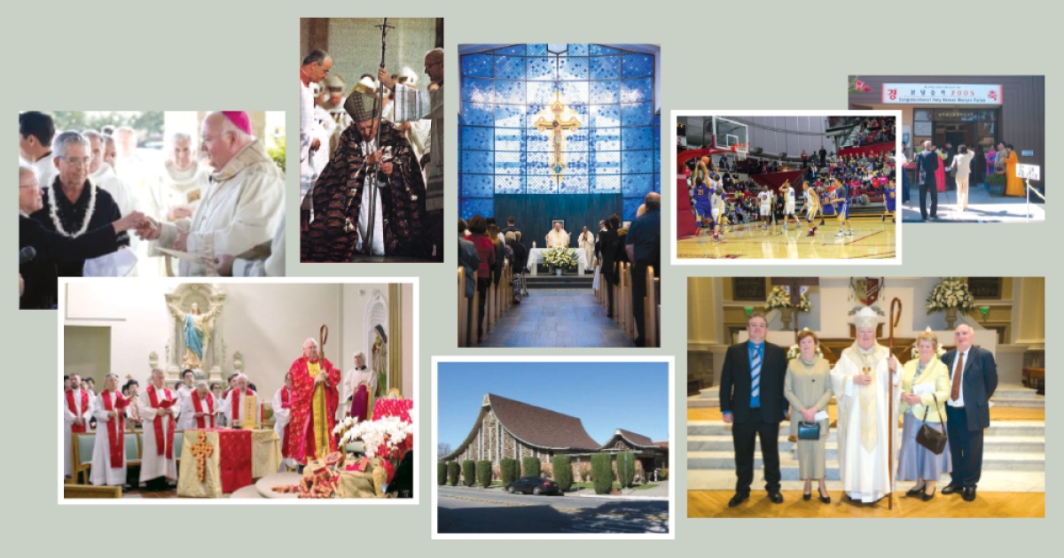 Veinte Años Como Obispo de San José | The Valley Catholic